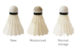 Professional shuttlecock steam hygro-box storage unit | badminton ...